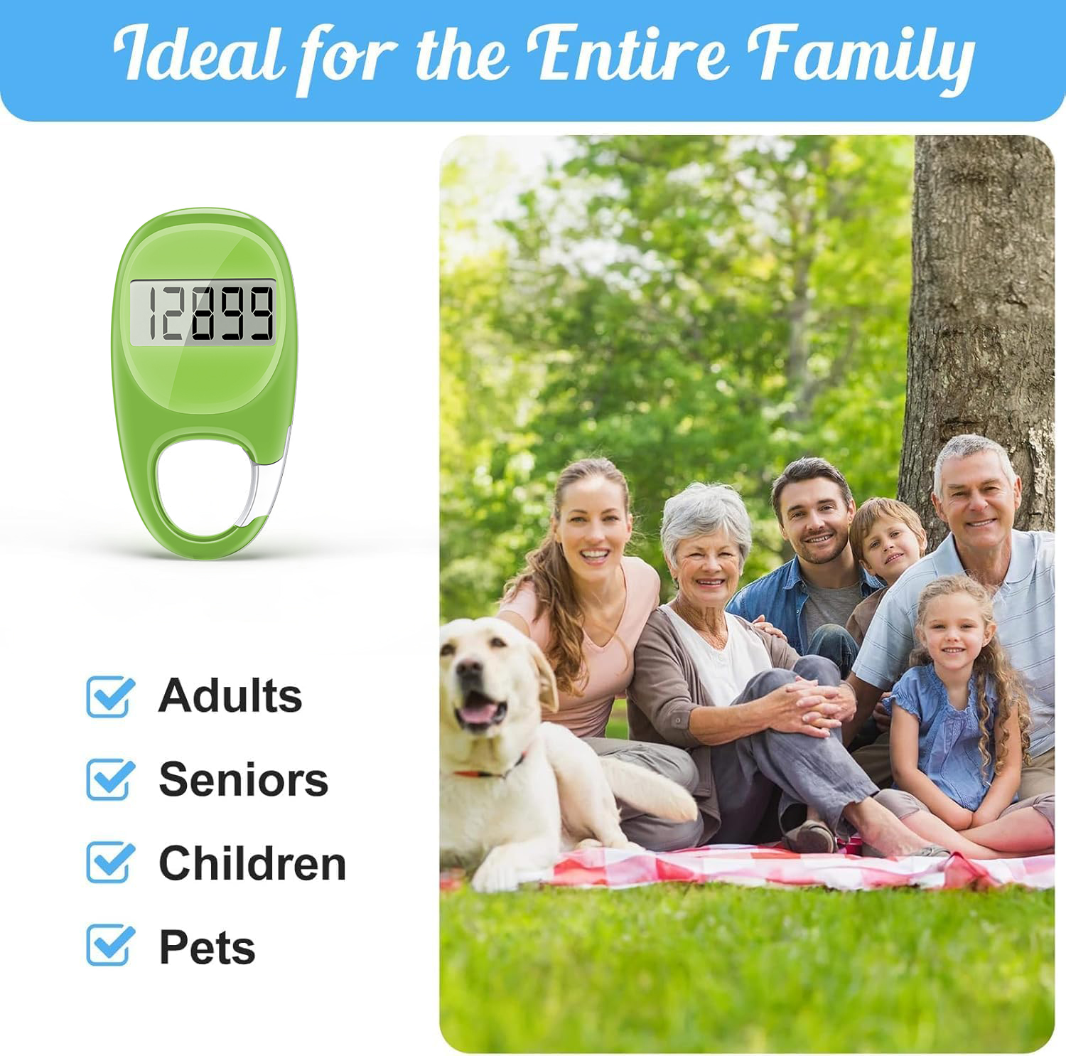 Simple Pedometer for Walking, Accurate Step Tracker with Carabiner, 3D ...